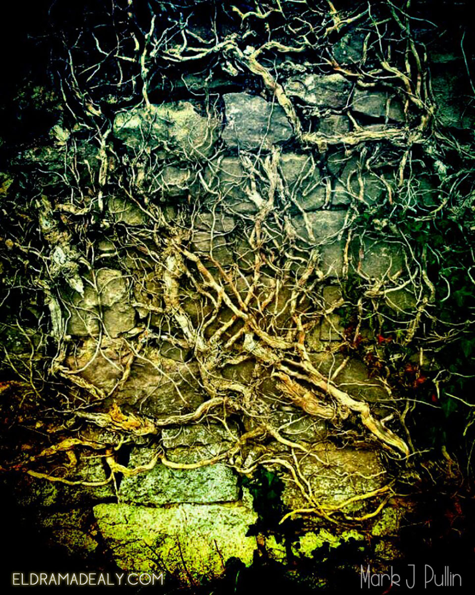 The Northern Forecast (A Retrospective) ~ Mark James Pullin – El Drama ...